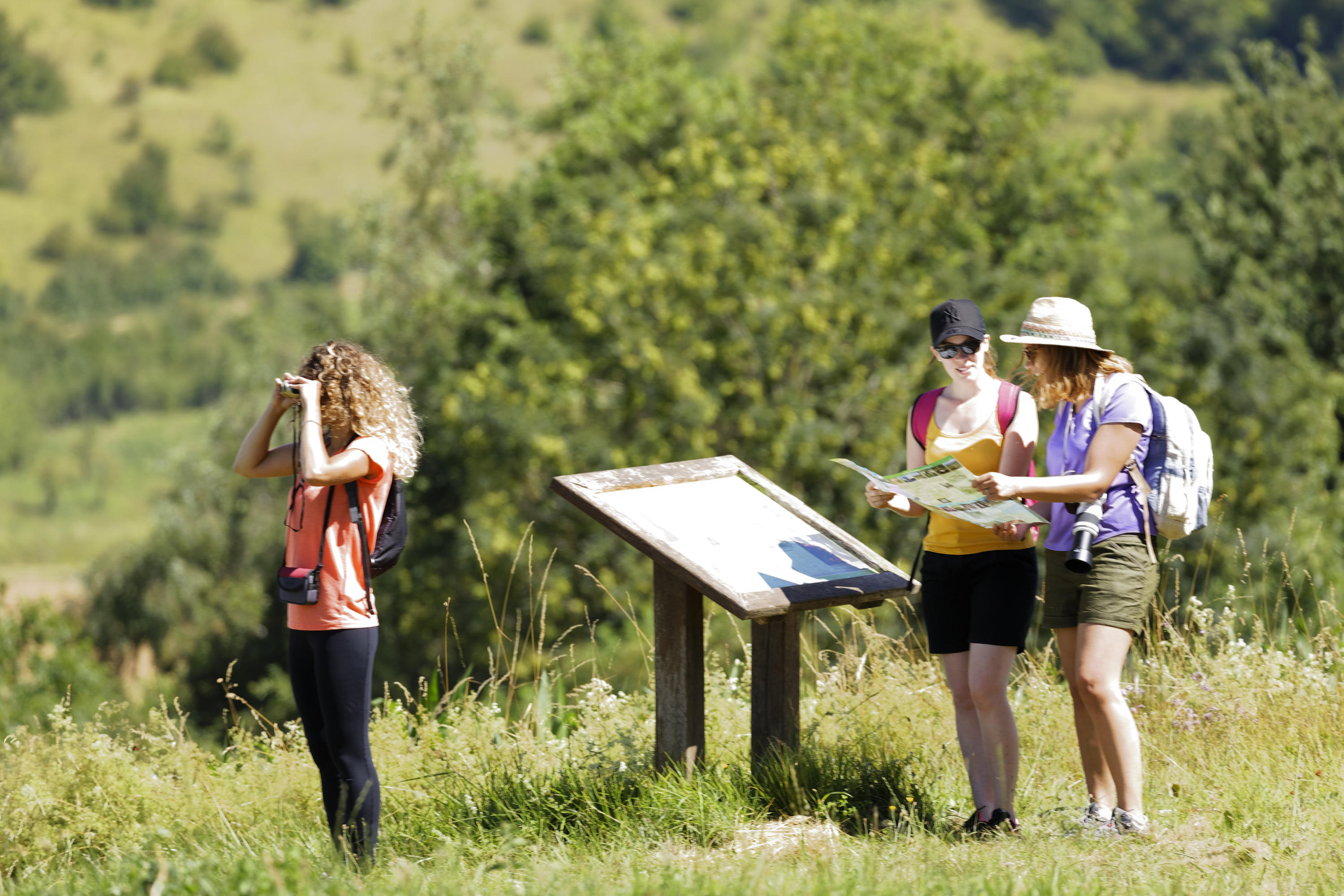 Sortir et découvrir